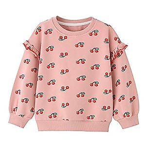 BINIDUCKLING Toddler Crew Neck Sweatshirt Girls 2T Cherry Pink