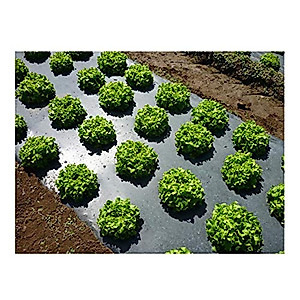Grower's Solution Black Plastic Mulch 4ft. X 100ft. 1.0 Mil Embossed