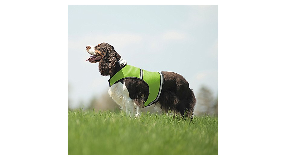Insect Shield Dog Safety Vest - Protect Against Fleas & Ticks