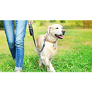 K9King Service Dog Tag Double Sided Federal Protection with Red Medical Alert Symbol Pet ID Tags 1.25 inch. Easily Attach to Collar Harness Vest Dog Service Tag