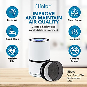 Flintar H13 True HEPA Replacement Filter, Compatible with LV-H132 Air Purifier, Part # LV-H132-RF, 2-Pack