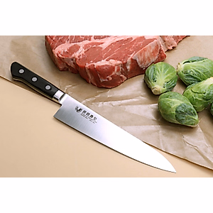 Yoshihiro INOX AUS10 Stain-Resistant Steel Ice Hardened Gyuto Chefs Knife (8.25'' (210mm))