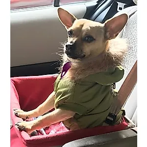 The Tick Patrol Tick Remover 3-Pack - for People & Pets - Stop Ticks in Their Tracks! (Blue, Red, Green)