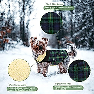 Preferhouse Winter Coat for Small and Medium Dogs, Puppy Plaid Jacket, Cotton Coat for Cold Weather, Windproof Warm Dog Garments, Pet Thickened Outfits Indoor Outdoor, Green L