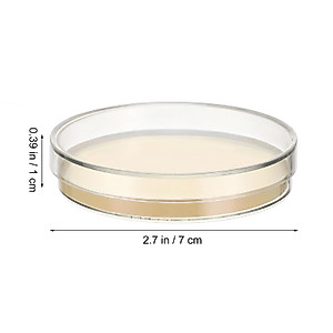 Garneck Set of Petri Dishes Pre-Filled with Agar - Ideal for Mushroom Cultivation Science Experiments & Projects Laboratory Essentials Child Stripe Specimen Collection 10pcs