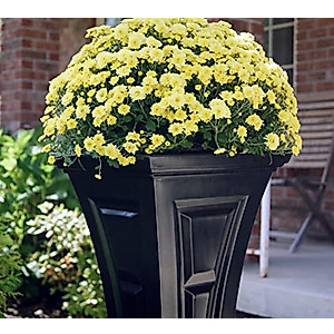 FCMP Outdoor Heritage Planter (2-Pack) Outdoor Planter, Tall, Black