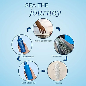 AQUAGE. Color Protecting Shampoo, Contains AlgaePlex Marine Botanicals to Help Seal In Color and Provide Gentle Cleansing, 8 oz