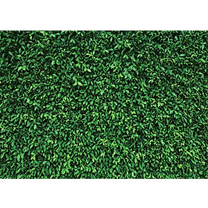 LYWYGG 7x5FT Green Leaves Photography Backdrops Nature Backdrop Birthday Background for Birthday Party Seamless Photo Booth Prop Backdrop CP-87