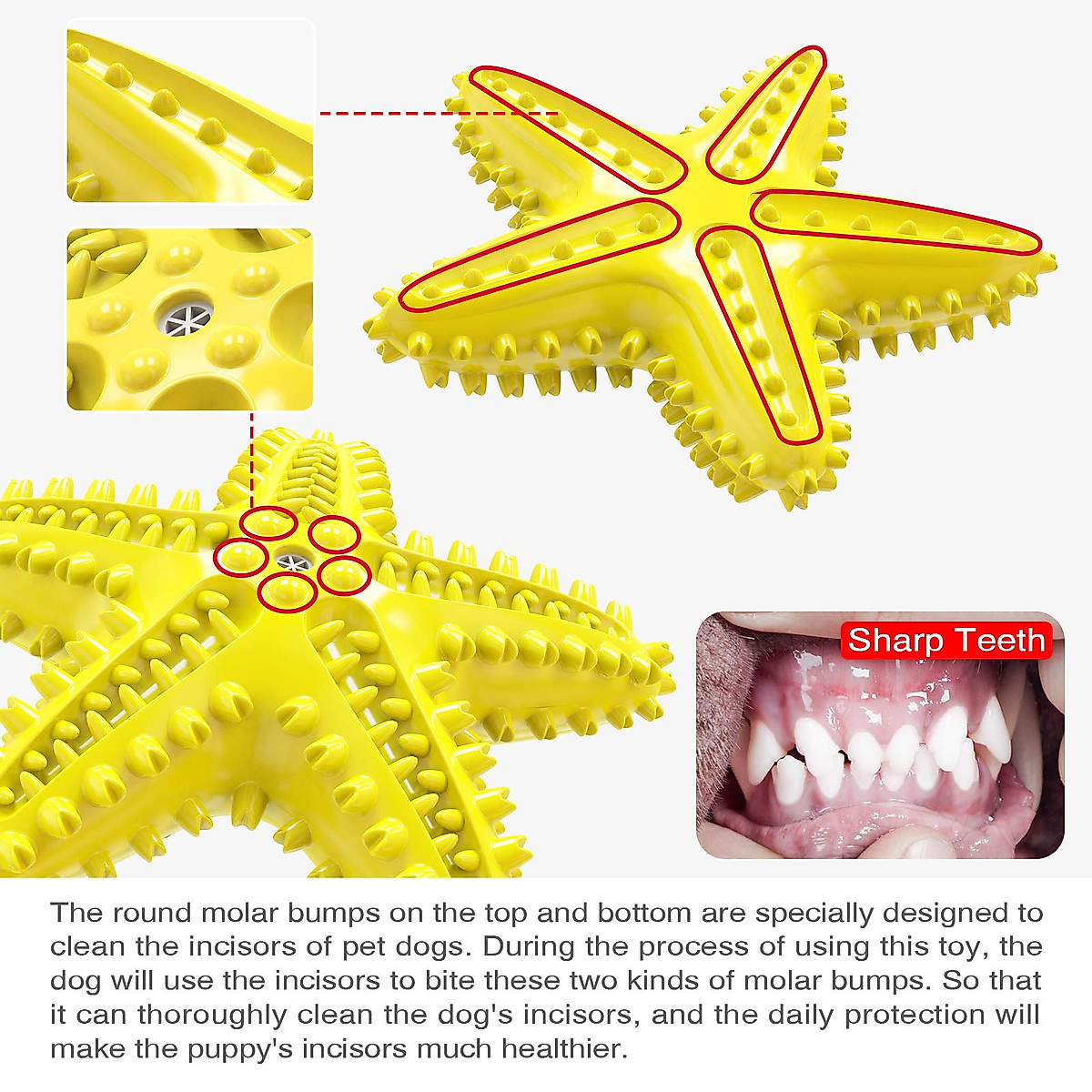 ANROD Dog Toothbrush Chew Toys for Aggressive Chewers Large Breed,Squeaky Talking Dogs Toy,Rubber Indestructible Tough Teeth Cleaning Stick for Small Dogs Dental Care (Yellow Starfish)