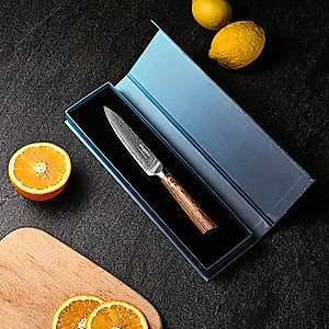 aisyoko Paring knife 5 inch sharp fruit utility knife-Japanese VG-10 super steel 67 layer Damascus steel knife-for carving and peeling-luxury gift box with color wooden handle-with scabbard