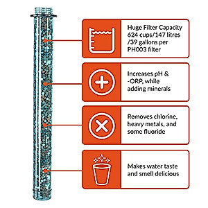 Invigorated Water Alkaline Water Filter Bottle With Carry Case - Enhanced Hydration - Integrated Water Filtration System - Portable Alkaline Water Bottle - PH Water Bottle Alkaline - 25oz-750ml (Aqua)