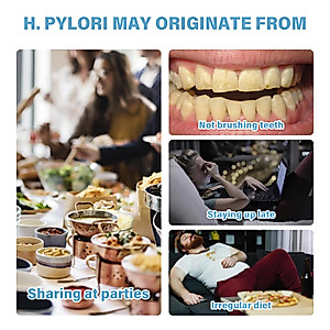 HANASCAR H Pylori Test Kit, Helicobacter Pylori Test Kits at Home, 99.5% Accuracy, Results in 10-15 Minutes, Easy to Use