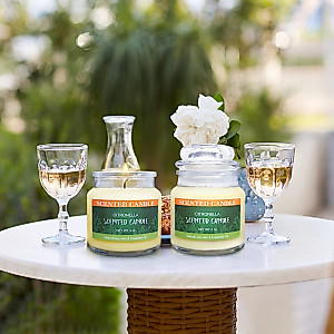 Citronella Candles 4-Pack, 4oz Yellow Soy Wax with Lemongrass Essential Oil - Scented Glass Jar Candles for Outdoor and Indoor Use