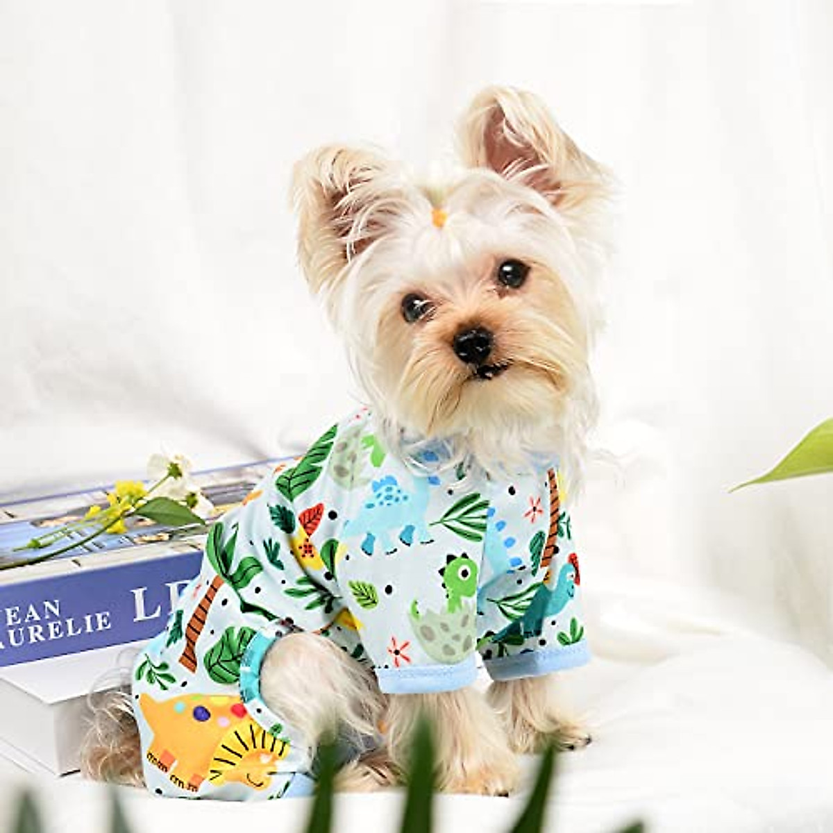 Dog Pajamas for Small Dogs Girl Boy Puppy Pjs Summer Pet Onesies for Chihuahua Yorkie Teacup Cute Soft Material Stretch Able Cat Clothes Outfit Apparel Doggy Jumpsuit (Small, Dinosaur)