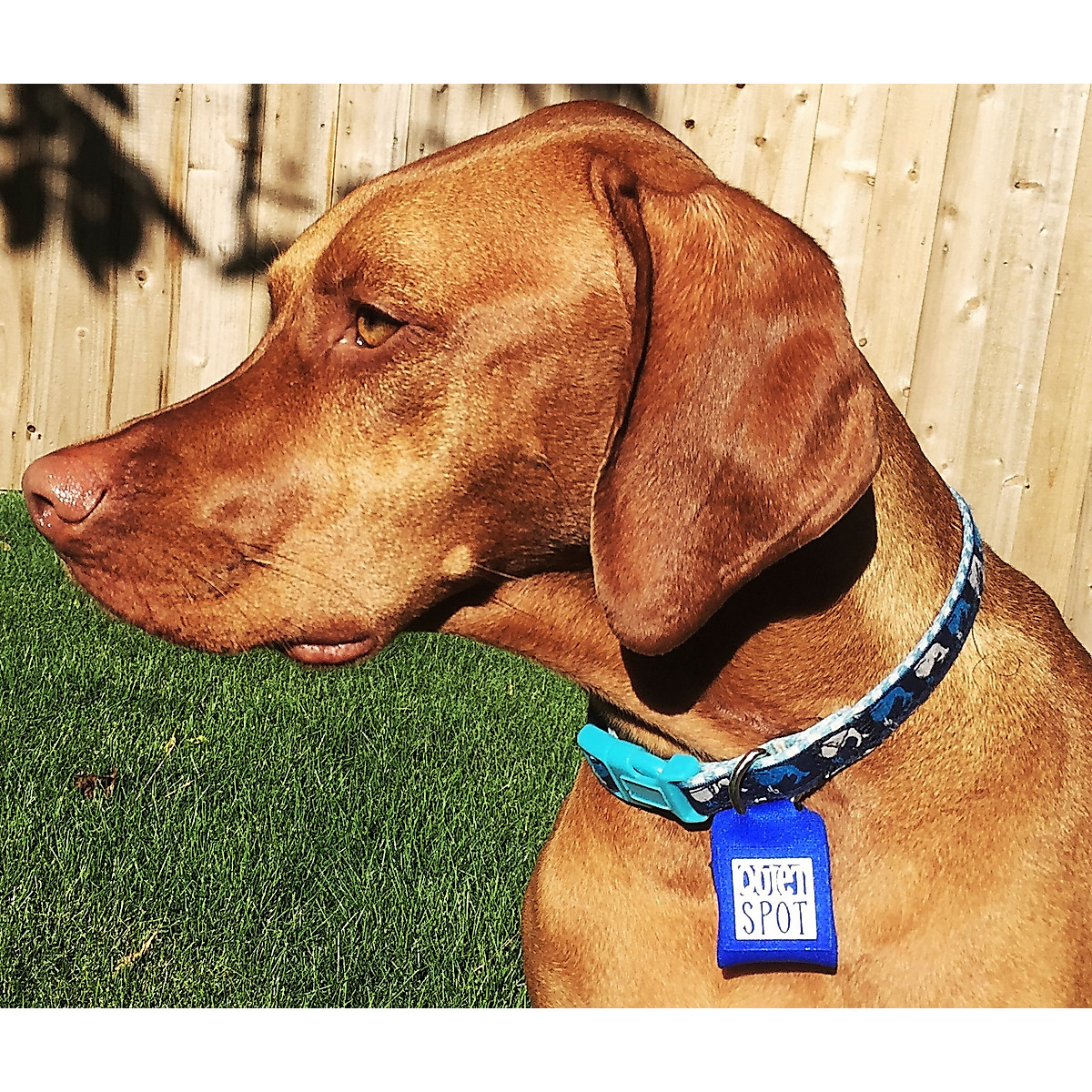 Quiet Spot Pet Tag Silencer (Pink)