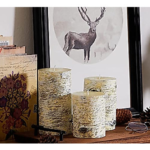 MOZEAL Hand-poured Unscented Candle,Dripless Pillar Candle set of 3,Includes 4", 5" and 6",approx 300 hours Burn Time,Rustic Country Style,for Wedding,Dinner,Christmas,Restaurants and Home decor,Birch