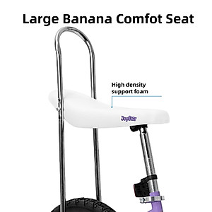 JOYSTAR 20 Inch Girls Bike with Training Wheels, Banana Seat Bike for Girls Ages 7-12 Years Old, Kids' Girls Bicycle with Front Handbrake and Coaster Brakes, Kickstand Included Purple