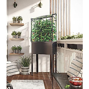 Bio Green JGL-C Greenhouse Compatible with City Jungle Trellis and Heidelberg – Outdoor and Indoor 2 Zippers – Protection Plant Covers – Transparent Design
