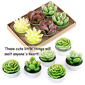 Swpeet 12Pcs Decorative Succulent Cactus Tealight Candles Kit, Cute Smokeless Succulent Plants Perfect for Candles Festival Wedding Props and House-Warming Party (N0.5-Candle)