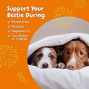 Zesty Paws Calming Chews for Dogs - Composure & Relaxation for Everyday Stress & Separation - with Ashwagandha, Organic Chamomile, L-Theanine & L-Tryptophan – Bison - 90 Count