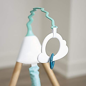 Evenflo Exersaucer Wood Frame Jumper, Woodland Wonder