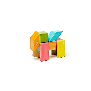 24 Piece Tegu Magnetic Wooden Block Set, Tints, 1-99 years old