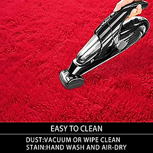 DETUM Soft Red Bedroom Area Rugs 3' X 5' Fluffy Fur Rug for Living Room Kids Room Nursery Room Shag Plush Floor Carpet Indoor Non-Slip Mat Modern Home Decor, 3x5 Ft, Red