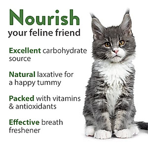 3200+ Cat Grass Seeds - Catnip Seeds, Alfalfa Seeds, Oat Seeds, and Oat & Barley Mix - Grow Cat Grass for Indoor Cats - Cat Grass Seeds Bulk - Refill Cat Growing Grass Kit - Heirloom Herb Seed