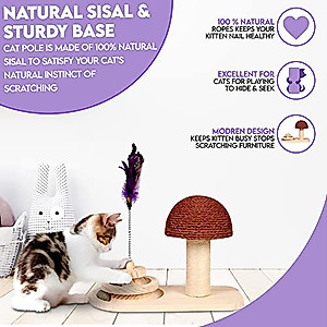 Paw Paw Babe 3 in 1 Cat Scratch Post - Wooden Base, Mushroom Sisal Post, Feather Stick - Cats Interactive Track Ball Toy - Cat Scratcher Toys for Indoor Fun