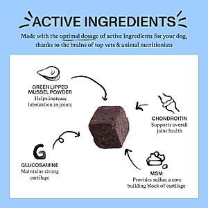 Spot & Tango Hip + Joint Supplement for Dogs - Vet-Approved For Mobility and Arthritis Support - Glucosamine, Chondroitin, Green Lipped Mussel, MSM - Flavor from Real Peanut Butter & Banana - 56 Count