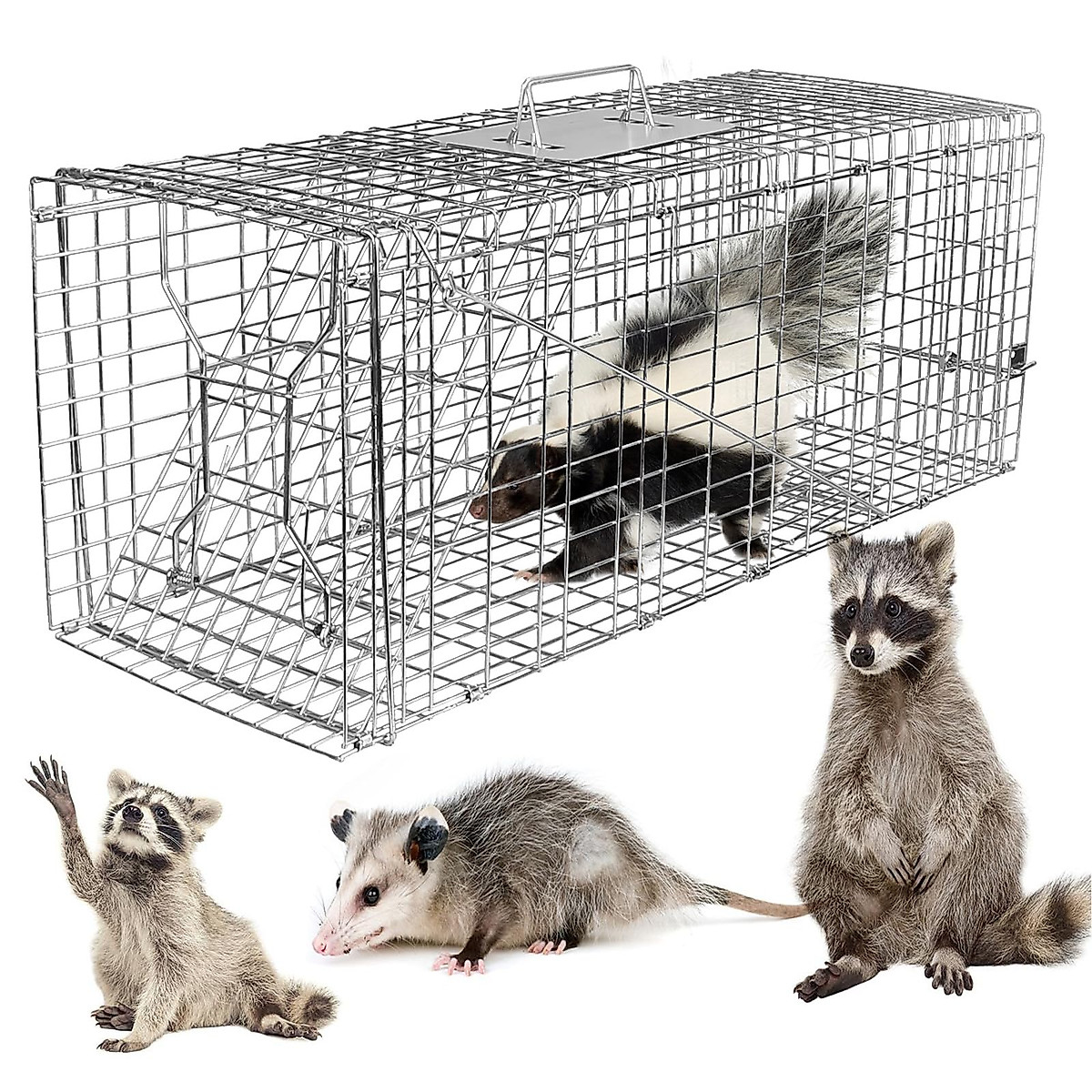 KOCASO Live Animal Trap Cage, Folding Large Humane Heavy Duty Trap Cage Catch Release Live Animal Rodent Trap Cage Collapsible Galvanized Wire for Raccoons Beavers Groundhogs Foxes Armadillos