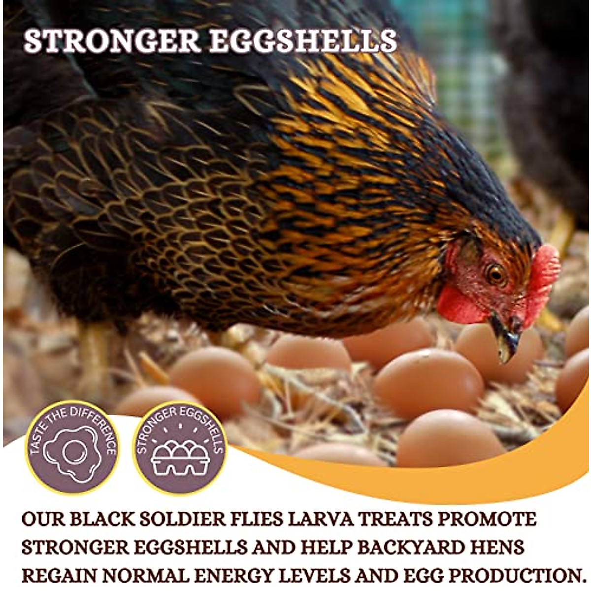 PICKY NEB 100% Non-GMO Dried BSF Larvae Grubs (5 lbs) Bulk - Chicken Treats & Molting Supplement - High-Protein Immune System Booster Snack for Chickens - 85x More Calcium Than Mealworms