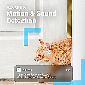 Bosma XC Pet Camera, Full HD WiFi Indoor Security Camera, 360 View and Super Wide Angle, Two-Way Audio and Video, Night Vision, Motion and Sound Detection, Local Storage, Easy Installation