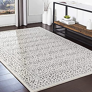 Sattley Modern Farmhouse Living Room Bedroom Dining Room Area Rug - Transitional Bohemian Carpet - Non Shed, Stain Resistant - Beige, Grey, Black, Cream, Ivory - 5'3" x 7'3"