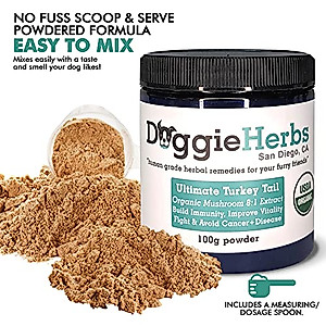 Ultimate Turkey Tail 8:1 Extract by Doggie Herbs – 389mg Beta Glucan per 1g Scoop (39%), Contains ONLY Polysaccharides – 100g