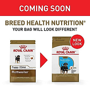 Royal Canin Breed Health Nutrition Rottweiler Puppy Dry Dog Food, 30 lb