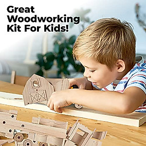 Kraftic Woodworking Building Kit for Kids and Adults, Set of 3 Educational DIY Carpentry Construction Wood Model Kit Toy Projects for Boys and Girls - Off-Road Vehicle, Flatbed Truck, Barn Birdhouse