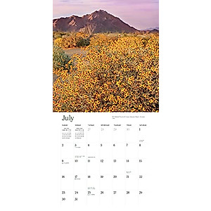 Audubon Desert Wildflowers Wall Calendar 2023: A Visual Delight for Nature Lovers and Gardeners Alike