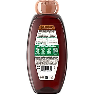 Garnier Whole Blends Shampoo with Coconut Oil & Cocoa Butter Extracts, 22 Fl Oz (1 Count)