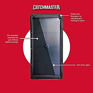 Baited Glue Traps by Catchmaster - 6 Pre-Baited Trays, Ready to Use Indoors. Rat Mouse Snake Exterminator Plastic Sticky Adhesive Easy No-Mess Simple Non-Toxic Disposable - Made in The USA