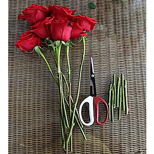 8" Bonsai Cutter Pruning Shear tool used for Gardening, Arranging Flowers, Trimming Plants, Branches, Stainless Steel Red White Handles