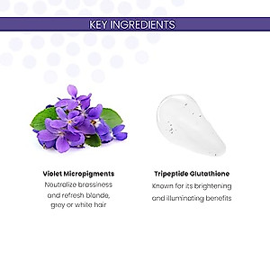 ALOXXI Violet Shampoo - Purple Shampoo for Blonde Hair - Instantly Brightens & Washes Away Brassy Yellow Tones on Blonde, White & Grey Hair - Paraben Free & Sulfate Free, 10.1 Fl Oz