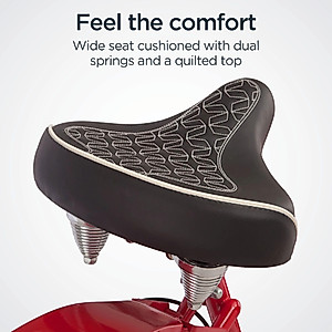 Schwinn Sanctuary 7 Comfort Beach Cruiser Bike for Adult Women Men, 7-Speed Drivetrain in Retro-Styled 17-Inch Steel Step-Through Frame, 26-Inch Wheels, With Front & Rear Fenders, Rear Cargo Rack