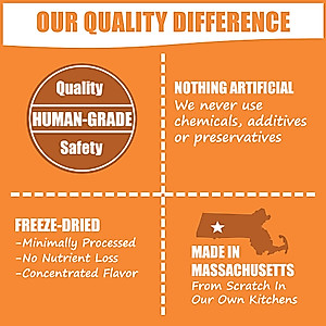 Whole Life Pet Healthy Gut Daily Supplement for Dogs – Probiotics, Prebiotics, Pumpkin. Helps Digestion + Stool Formation. Mixes in Food or with Water for Hydrating Snack