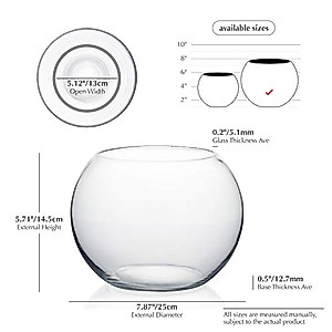 WGV Bowl Glass Vase, Diameter 8", Height 6", Open Width 5", (Multiple Sizes Choices) Clear Bubble Planter Terrarium Fish Bowl for Wedding Event Home Decor, 1 Piece (VBW0008A)