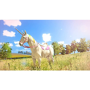The Unicorn Princess (PS4)