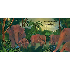 Where the Wee Ones Go: A Bedtime Wish for Endangered Animals