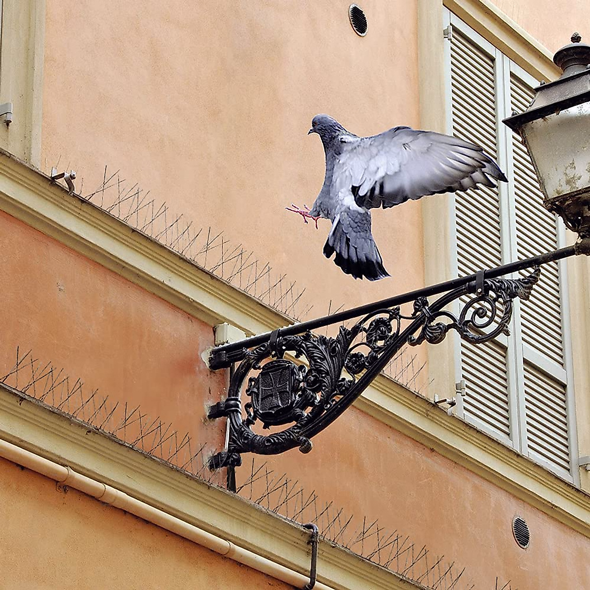 5 Pack Bird Spikes for Pigeons Small Birds Cat, Anti Bird Spikes Stainless Steel Bird Deterrent Spikes-Cover 4 Feet