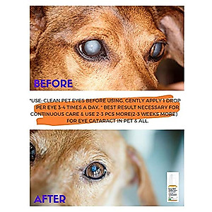 KARRYUNI X2 Pcs 10 ML, Best Pet Eye Drops Cataracts & People Exact Result, Safe & Gentle Formula, Promotes Eye Clarity & Dryness Eye in PPL Pets & All Animals Dogs, Cats Pet Care Eye Ointment Drops