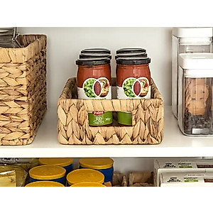 StorageWorks Water Hyacinth Baskets